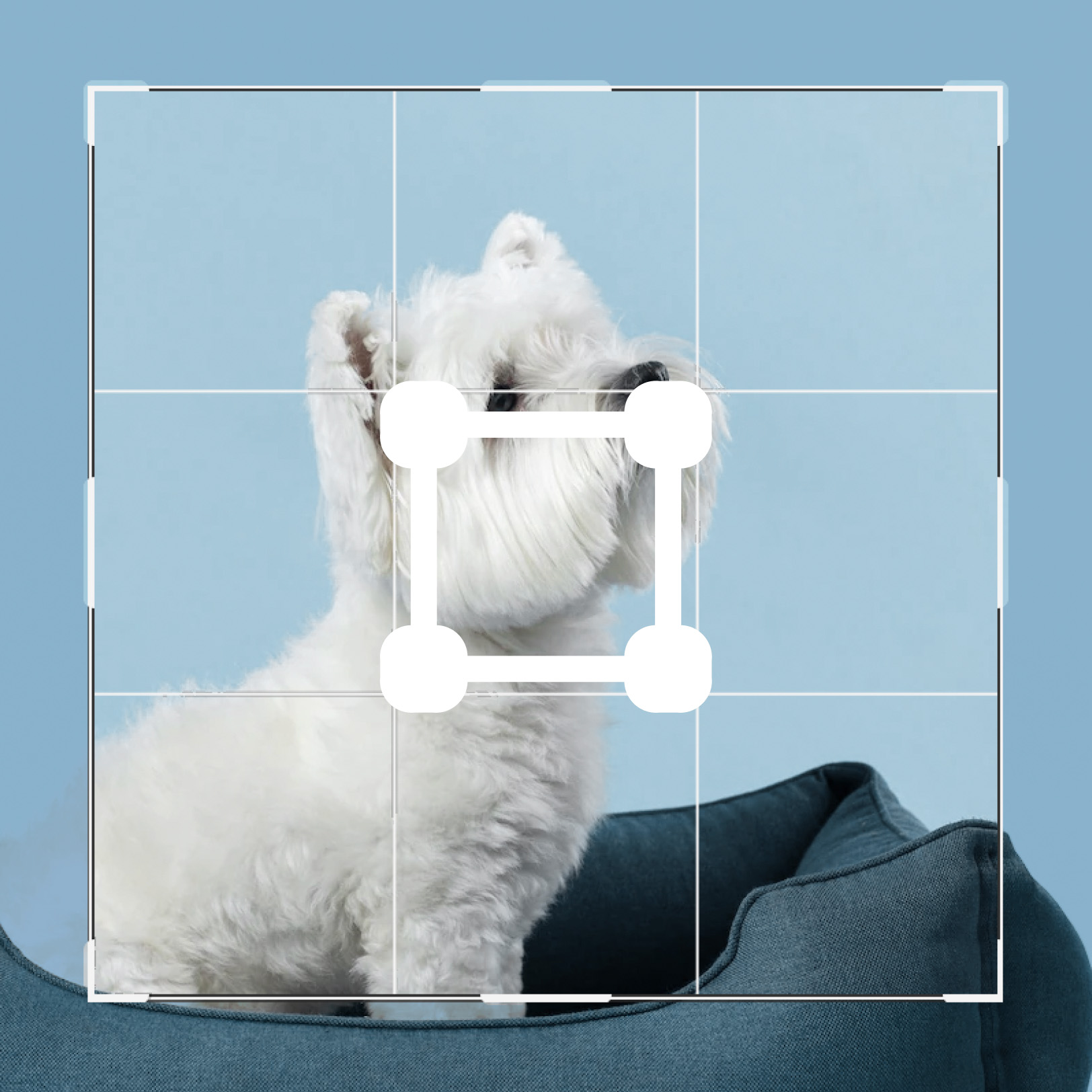 Crop - Resize - Rotate - Clipily Crop - Resize - Rotate - Clipily
